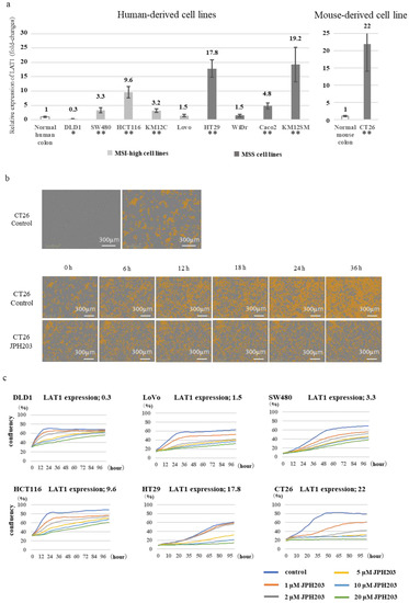 Cancers | Free Full-Text | The Anti-Tumor Effect of the Newly Developed ...