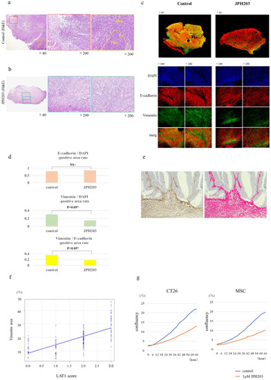 Cancers | Free Full-Text | The Anti-Tumor Effect of the Newly Developed ...