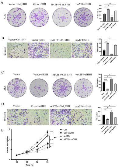 ATF4 Transcriptionally Activates SHH to Promote Proliferation, Invasion ...