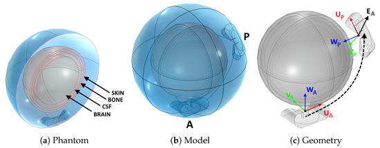 Antenna Arrangement in UWB Helmet Brain Applicators for Deep Microwave ...