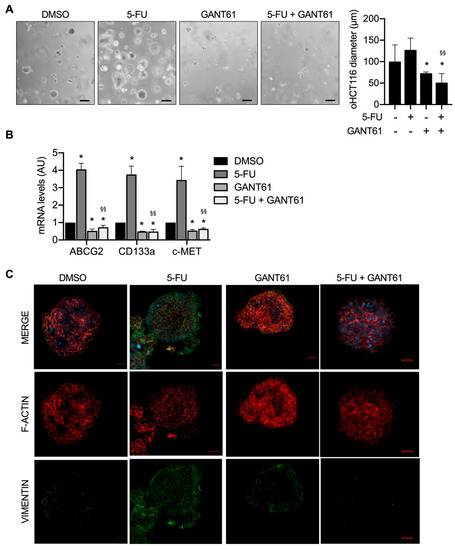 Hedgehog-GLI and Notch Pathways Sustain Chemoresistance and ...