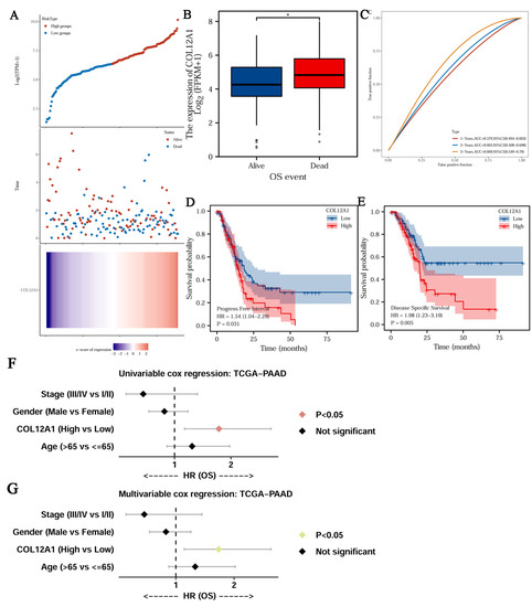 COL12A1 Acts as a Novel Prognosis Biomarker and Activates Cancer ...
