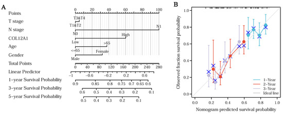 COL12A1 Acts as a Novel Prognosis Biomarker and Activates Cancer ...