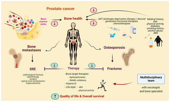 Bone Metastases and Health in Prostate Cancer: From Pathophysiology to ...
