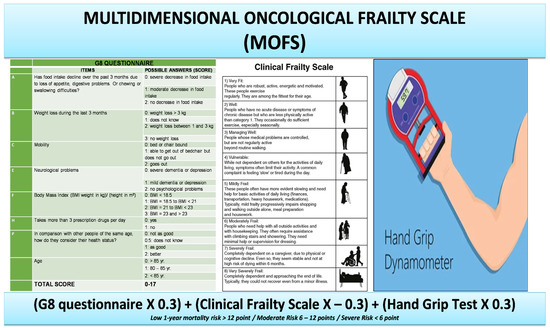 Multidimensional Oncological Frailty Scale (MOFS): A New Quick-To-Use ...