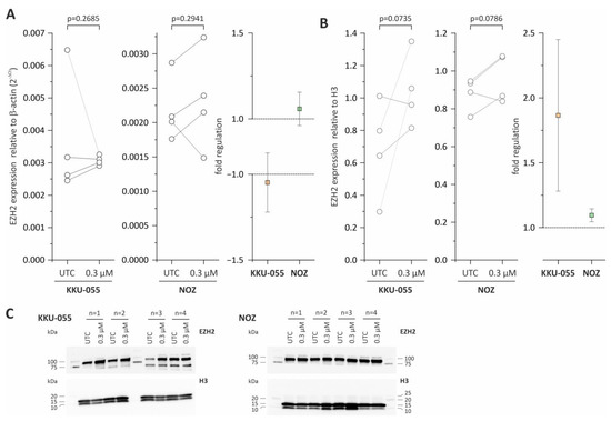Evaluation of Tazemetostat as a Therapeutically Relevant Substance in ...