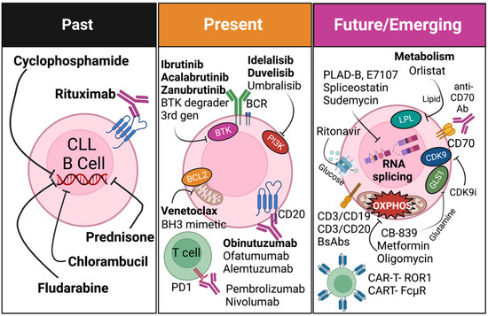 Emerging Therapies in CLL in the Era of Precision Medicine