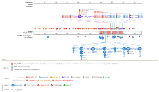 The Clinical Spectrum, Diagnosis, and Management of GATA2 Deficiency