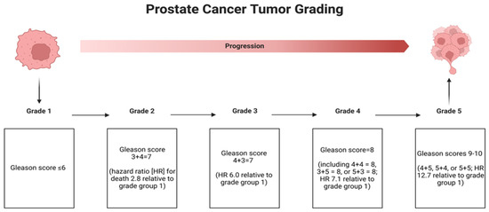 Anti-Cancer Stem-Cell-Targeted Therapies in Prostate Cancer