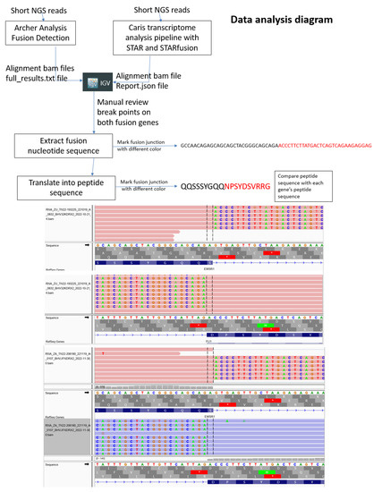 Routine EWS Fusion Analysis in the Oncology Clinic to Identify Cancer-Specific Peptide Sequence ...