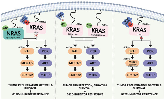 Treatment Strategies for KRAS-Mutated Non-Small-Cell Lung Cancer