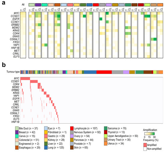 Analysis of Cancer Genomic Amplifications Identifies Druggable ...