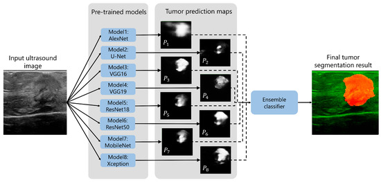 Toward Intraoperative Margin Assessment Using A Deep Learning Based Approach For Automatic Tumor