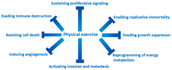 Exercise Training in Elderly Cancer Patients: A Systematic Review