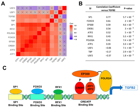 High Intra-Tumor Transforming Growth Factor Beta 2 Level as a Predictor ...