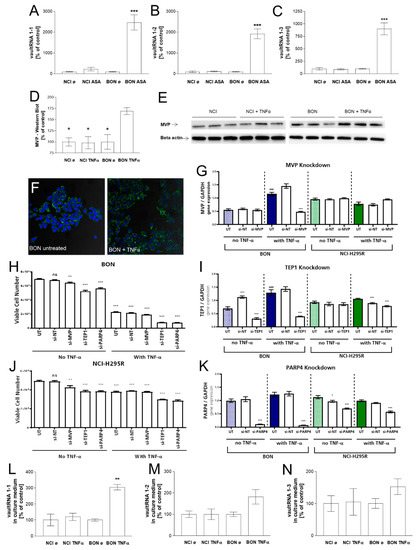 The Vault Complex Is Significantly Involved in Therapeutic ...