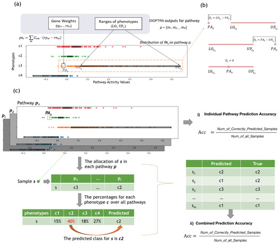 Optimisation Models for Pathway Activity Inference in Cancer
