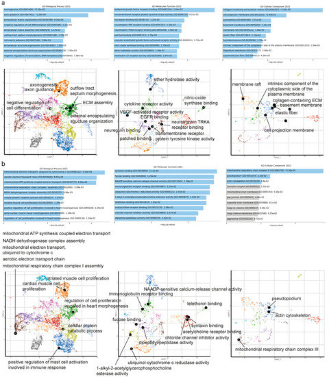 Deregulated Gene Expression Profiles and Regulatory Networks in Adult and Pediatric RUNX1 ...