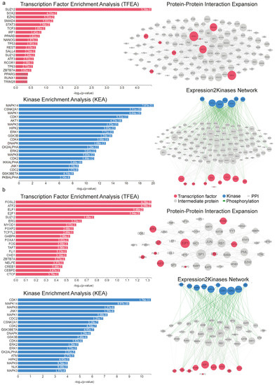 Deregulated Gene Expression Profiles and Regulatory Networks in Adult and Pediatric RUNX1 ...