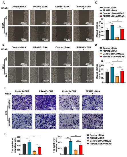 PRAME Promotes Cervical Cancer Proliferation and Migration via Wnt/β ...
