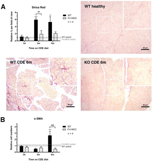TWEAK/Fn14 Signalling Regulates the Tissue Microenvironment in Chronic ...