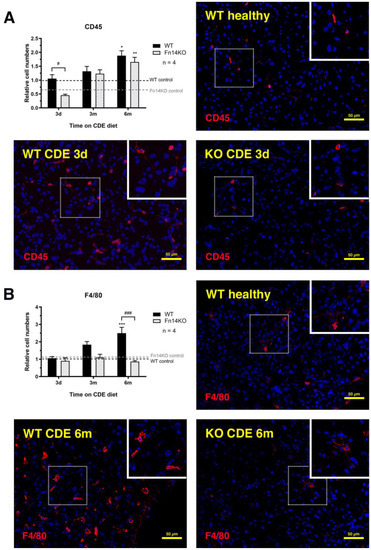 TWEAK/Fn14 Signalling Regulates the Tissue Microenvironment in Chronic ...