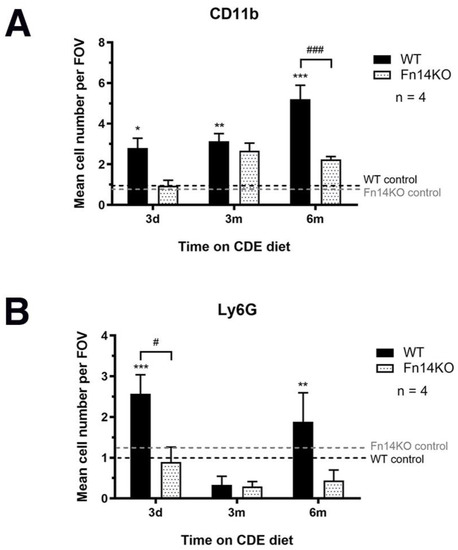 TWEAK/Fn14 Signalling Regulates the Tissue Microenvironment in Chronic ...