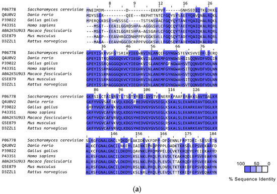 Novel Insights into RAD52’s Structure, Function, and Druggability for ...