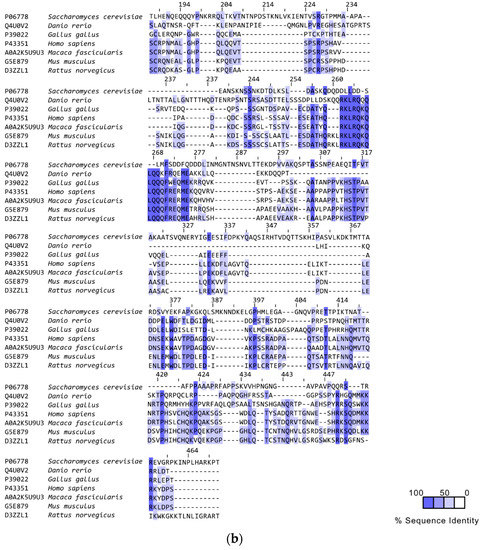 Novel Insights into RAD52’s Structure, Function, and Druggability for ...