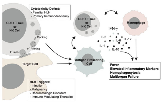 Cancers | Free Full-Text | Diagnosis and Management of Adult Malignancy ...