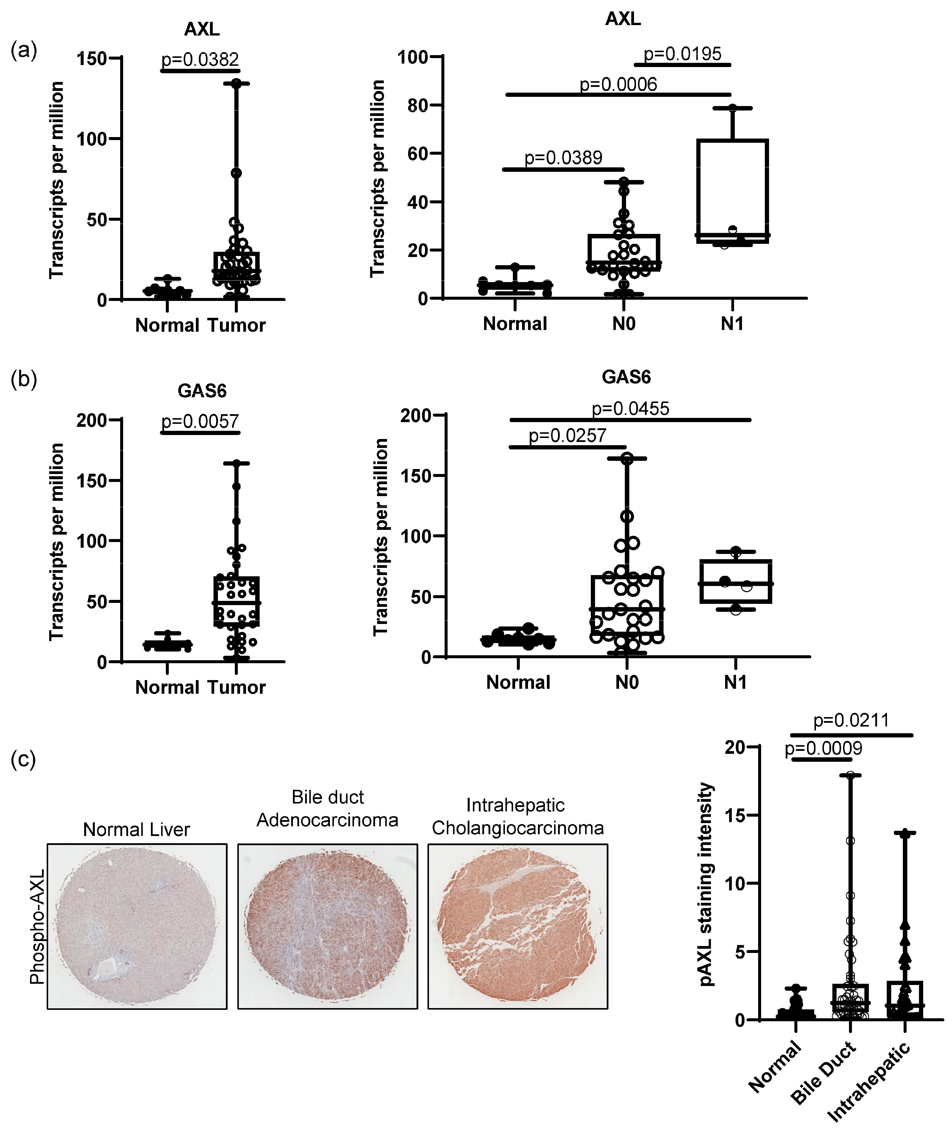 Cancers Free Full Text Targeting Axl Using The Avb 500 Soluble