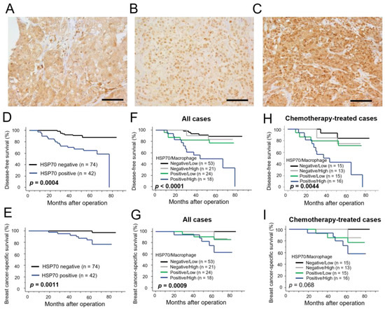 The Pro-Tumorigenic Role of Chemotherapy-Induced Extracellular HSP70 ...