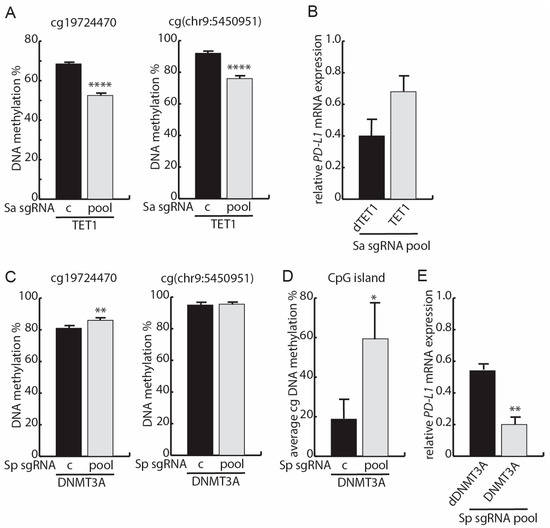 Cancers | Free Full-Text | Examination of the Functional Relationship between PD-L1 DNA ...