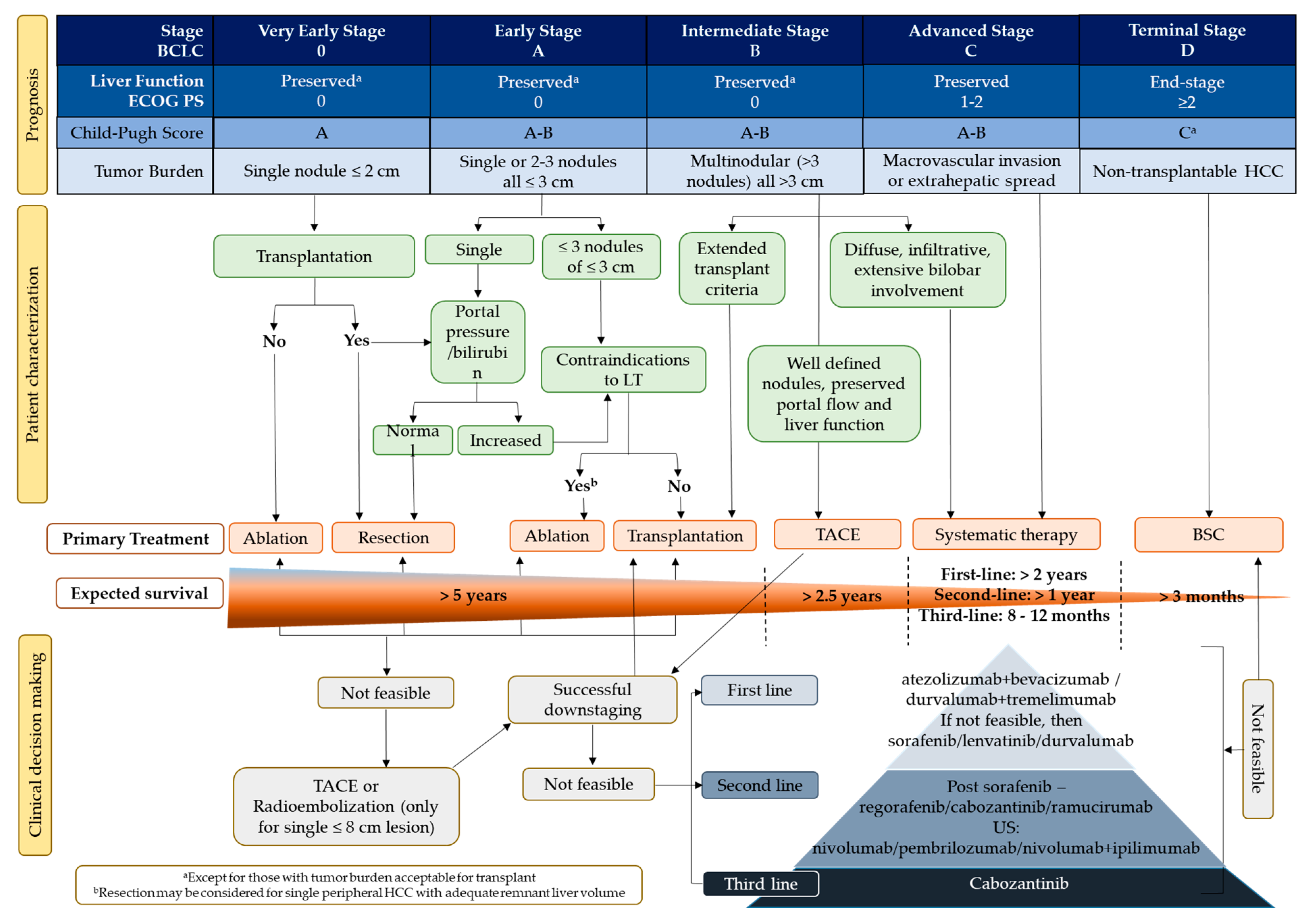Current Status of Management of Hepatocellular Carcinoma in The Gulf ...