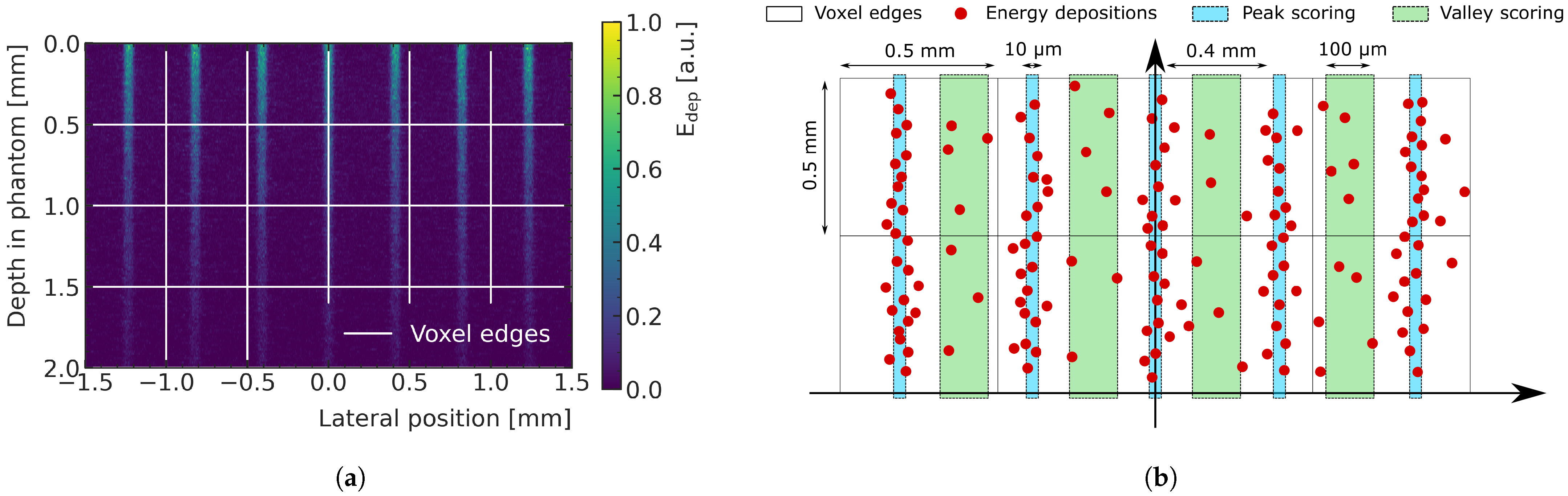 Cancers | Free Full-Text | Accurate and Fast Deep Learning Dose ...