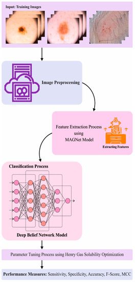 Henry Gas Solubility Optimization Algorithm based Feature Extraction in Dermoscopic Images ...