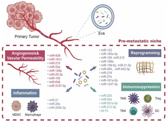 Non-Coding RNAs Derived from Extracellular Vesicles Promote Pre-Metastatic Niche Formation and ...