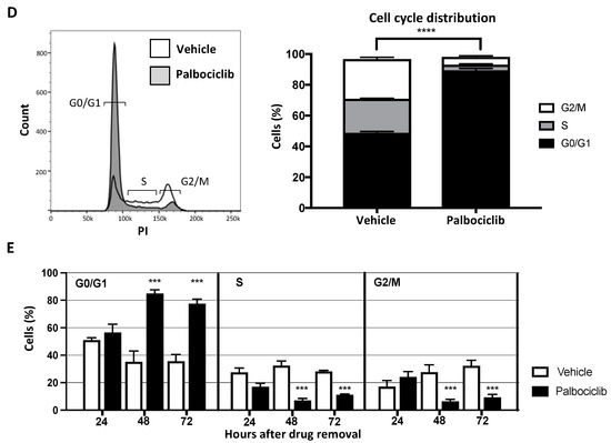Cancers | Free Full-Text | The CDK4/6 Inhibitor Palbociclib Inhibits ...