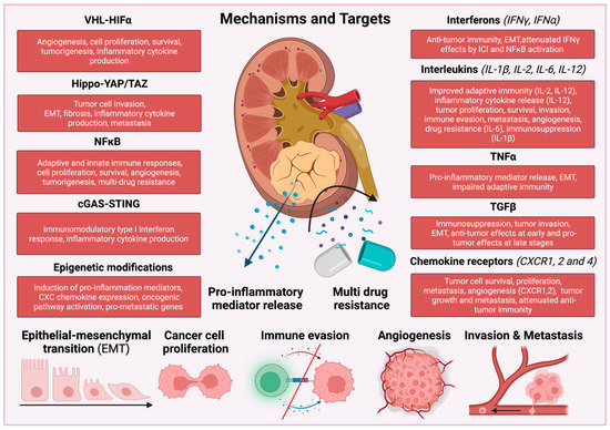 Inflammatory Networks in Renal Cell Carcinoma