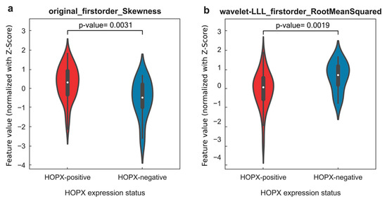 CT Image-Based Biopsy to Aid Prediction of HOPX Expression Status and ...