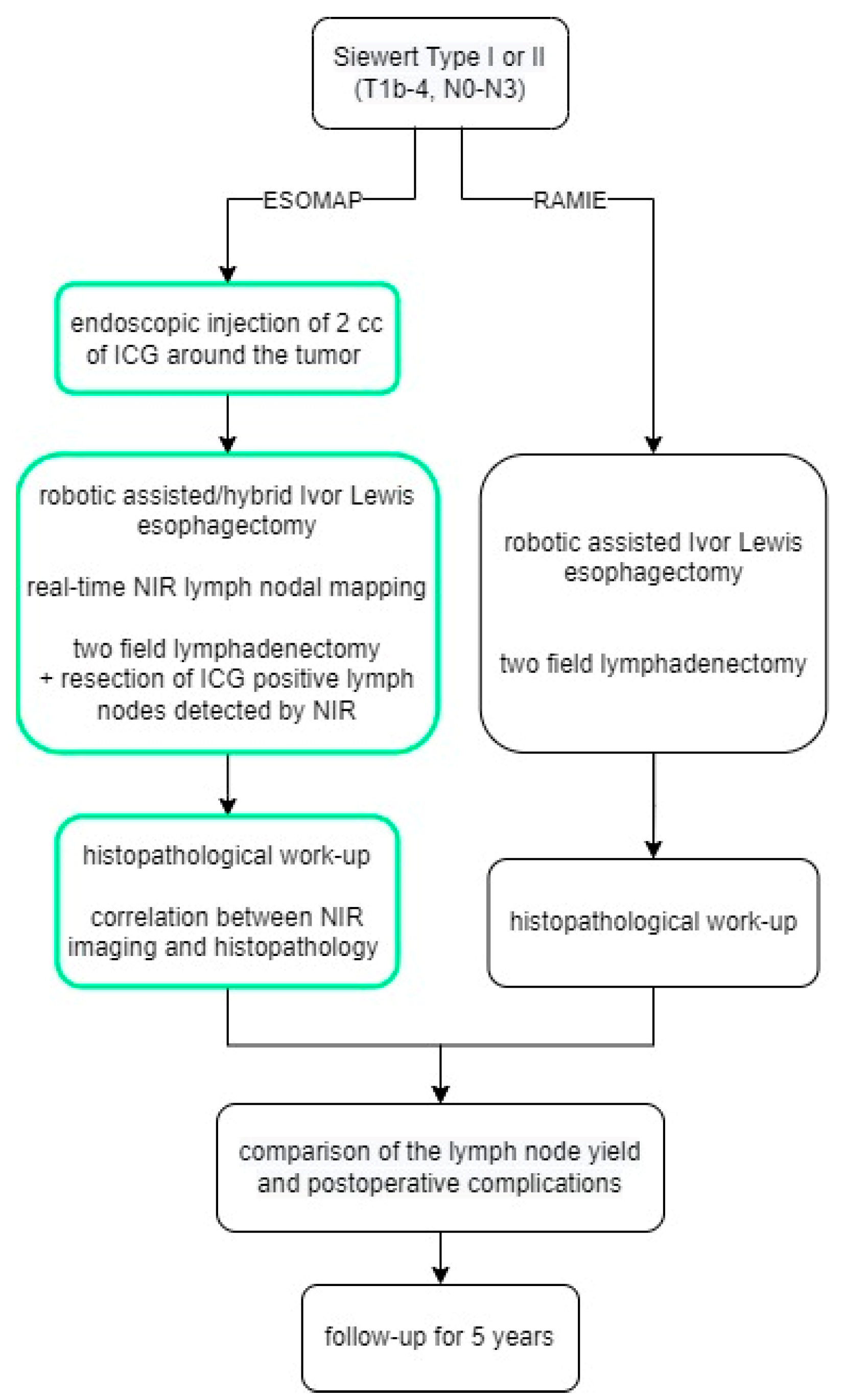 Mapping The Lymphatic Drainage Pattern Of Esophageal Cancer With Near Infrared Fluorescent
