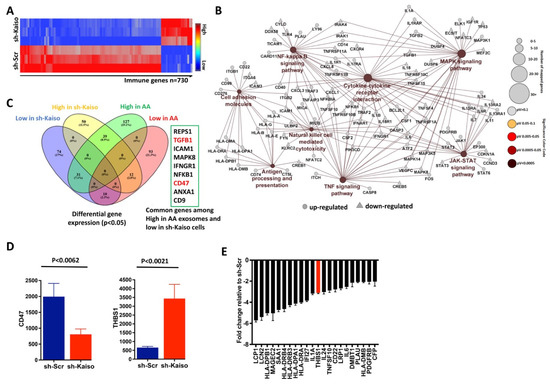 Immune Profile of Exosomes in African American Breast Cancer Patients ...