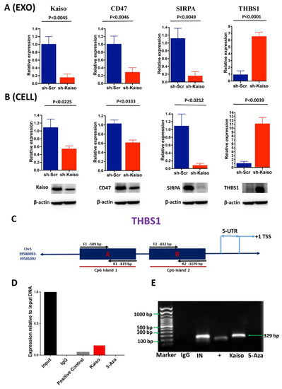 Immune Profile of Exosomes in African American Breast Cancer Patients ...
