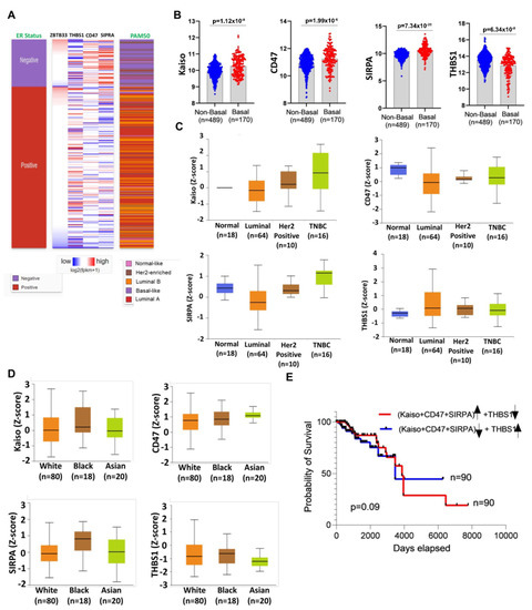 Immune Profile of Exosomes in African American Breast Cancer Patients ...