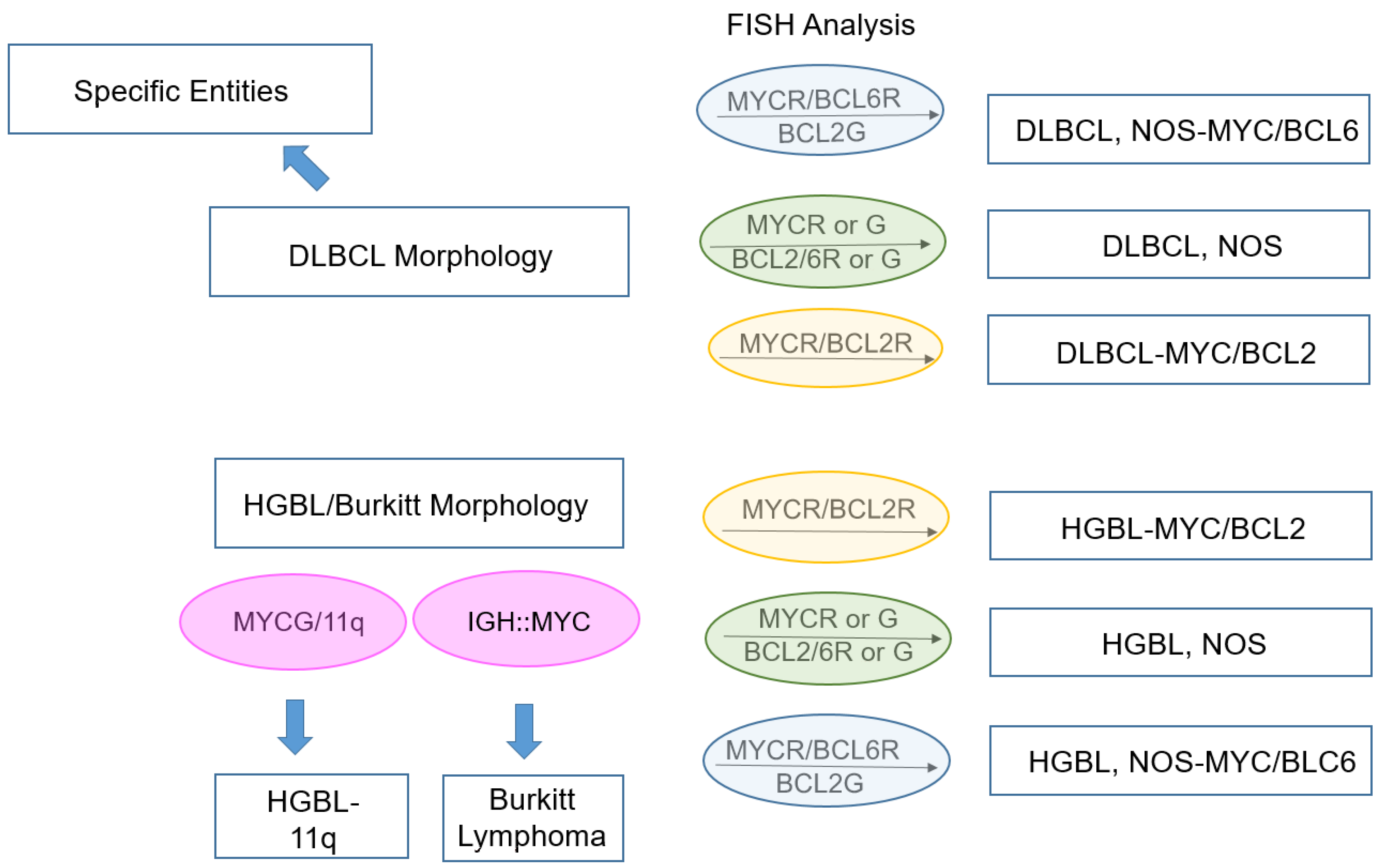 Large B-Cell Lymphomas in the 5th Edition of the WHO-Classification of ...