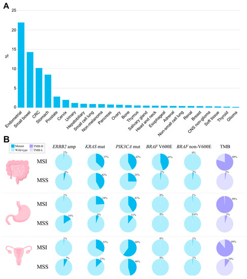 Microsatellite Instability: A Review of Molecular Epidemiology and ...