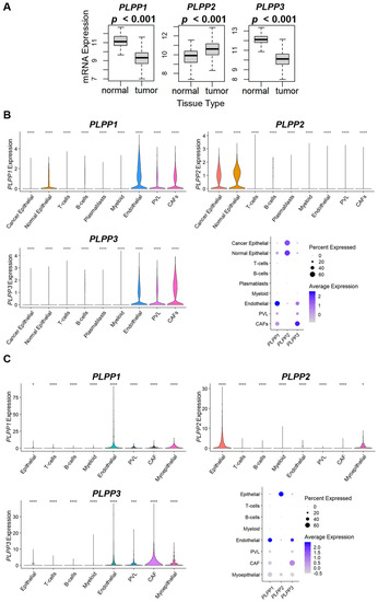 Decreased Lipid Phosphate Phosphatase 1/3 and Increased Lipid Phosphate ...