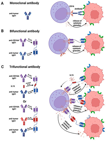 The Function of NK Cells in Tumor Metastasis and NK Cell-Based Immunotherapy