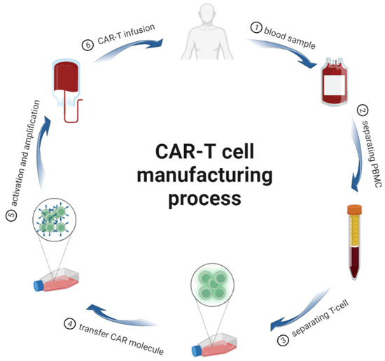 Cancers | Free Full-Text | Gene Targets of CAR-T Cell Therapy for Glioblastoma