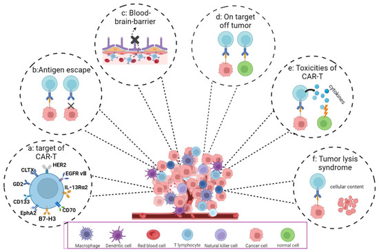 Cancers | Free Full-Text | Gene Targets of CAR-T Cell Therapy for ...